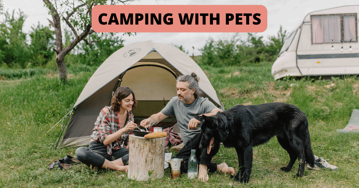 Tent Camping With Pets - Shoreline Happy Paws