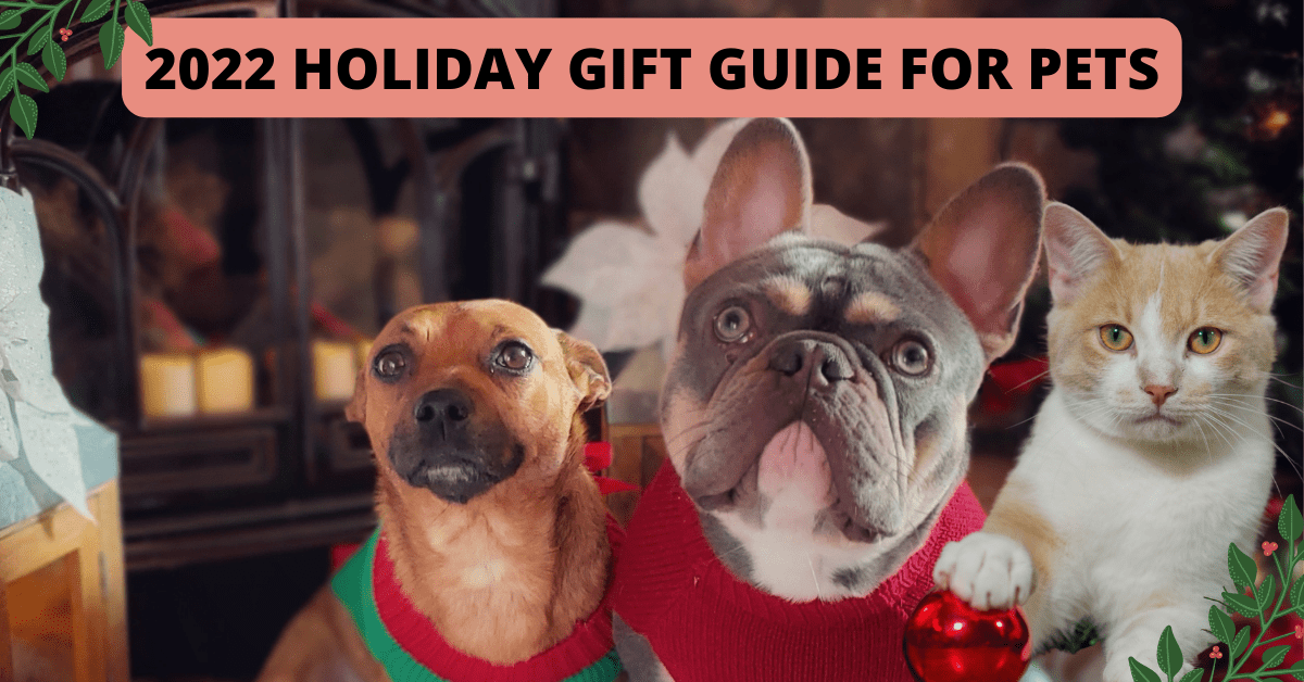 2022 Holiday Gift Guide for Pets - Shoreline Happy Paws
