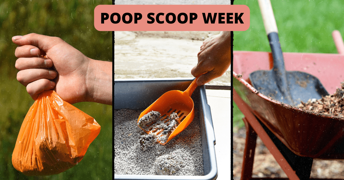 Poop Scoop Week - Shoreline Happy Paws