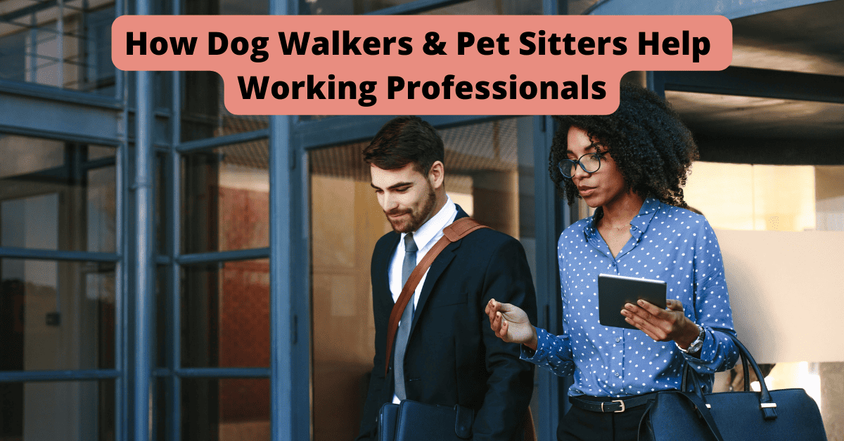 How Dog Walkers & Pet Sitters Help Working Professionals - Shoreline Happy Paws