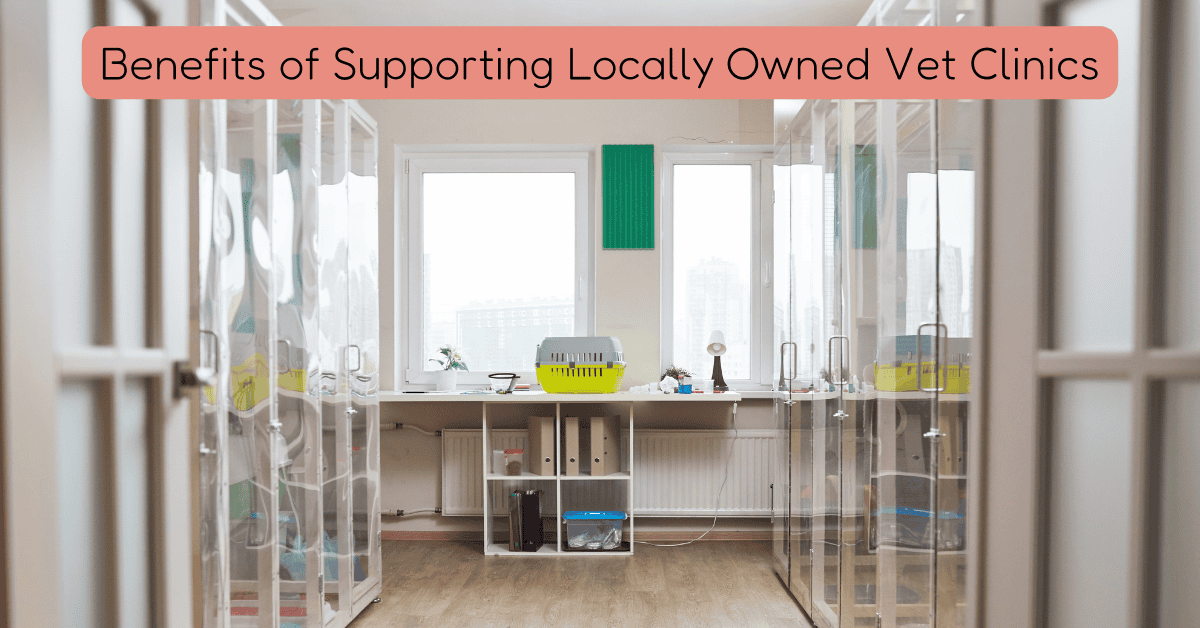 CT Shoreline's Local Veterinary Practices - Shoreline Happy Paws