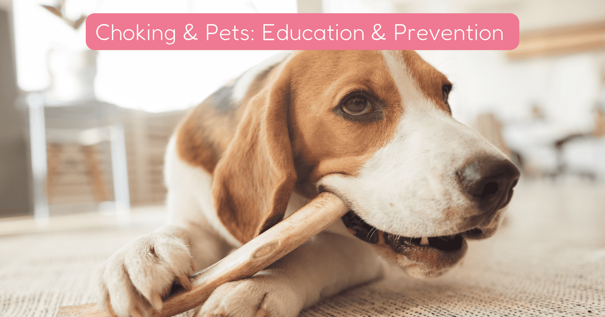 Pet Choking: Awareness, Education & Prevention - Shoreline Happy Paws