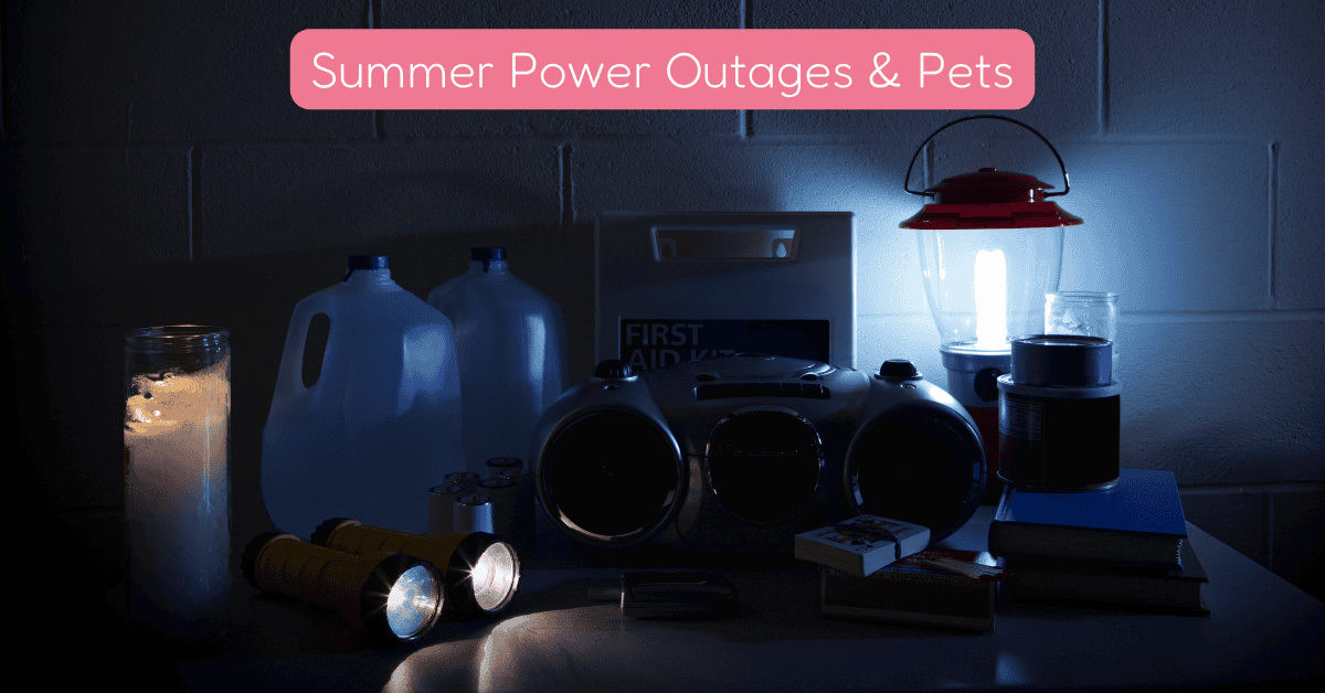 Shoreline Happy Paws Summer Power Outages & Pets