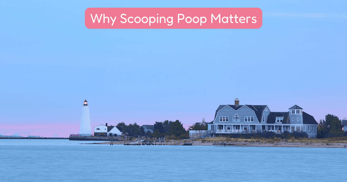 Why Scooping Poop Matters - Shoreline Happy Paws